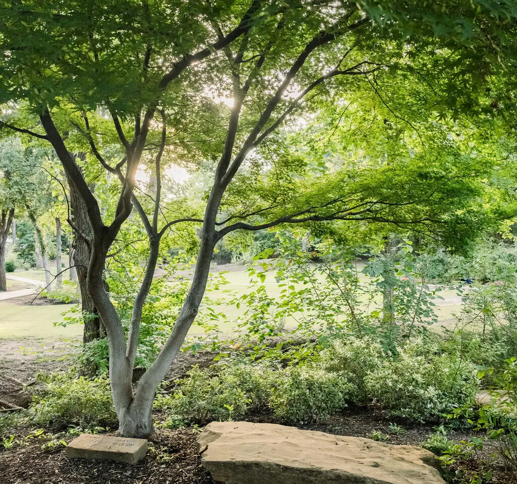 Grapevine Botanical Gardens at Heritage Park - GoGrapevine