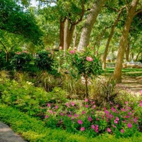Grapevine Botanical Gardens at Heritage Park - GoGrapevine