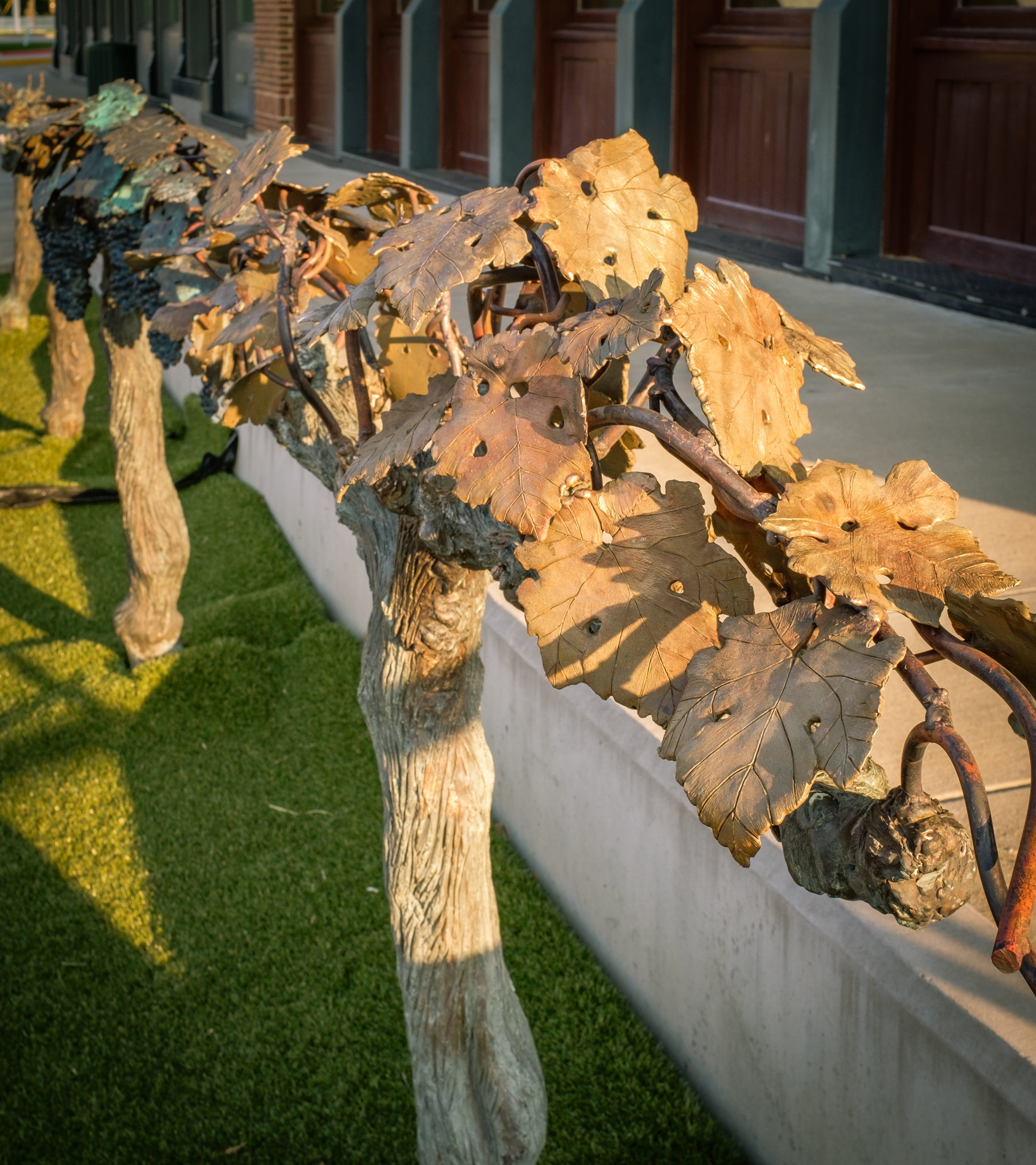 Grapevine Parks and Recreation - Home - Events, Activities, Athletics ...