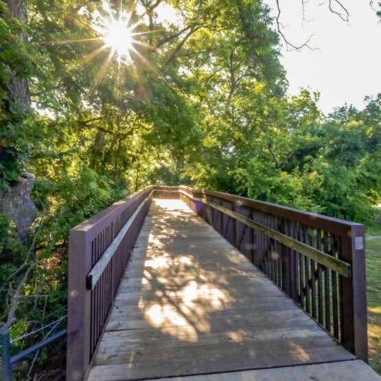 Grapevine Parks and Recreation - Home - Events, Activities, Athletics ...