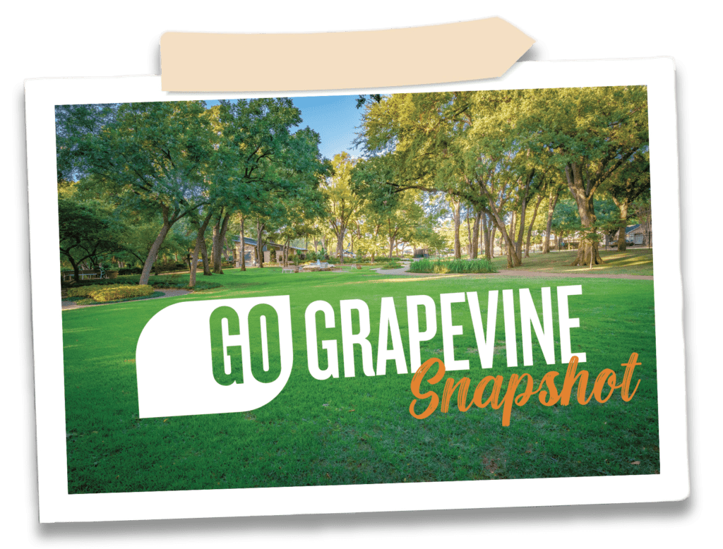 Go Grapevine Snapshot - GoGrapevine